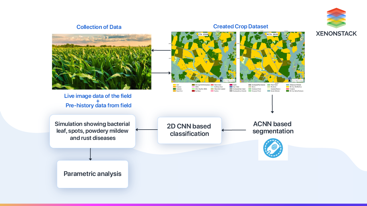 Early Crop Disease Detection with AI: Strategies for Prevention