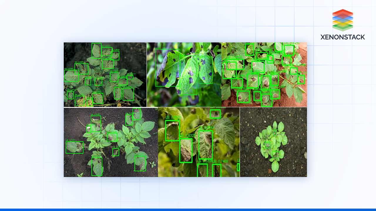 Early Crop Disease Detection With Ai Strategies For Prevention
