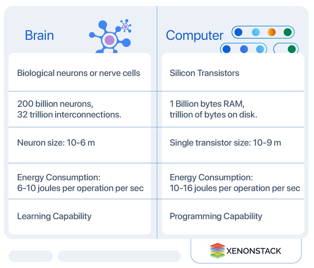 Artificial Neural Network Applications and Algorithms