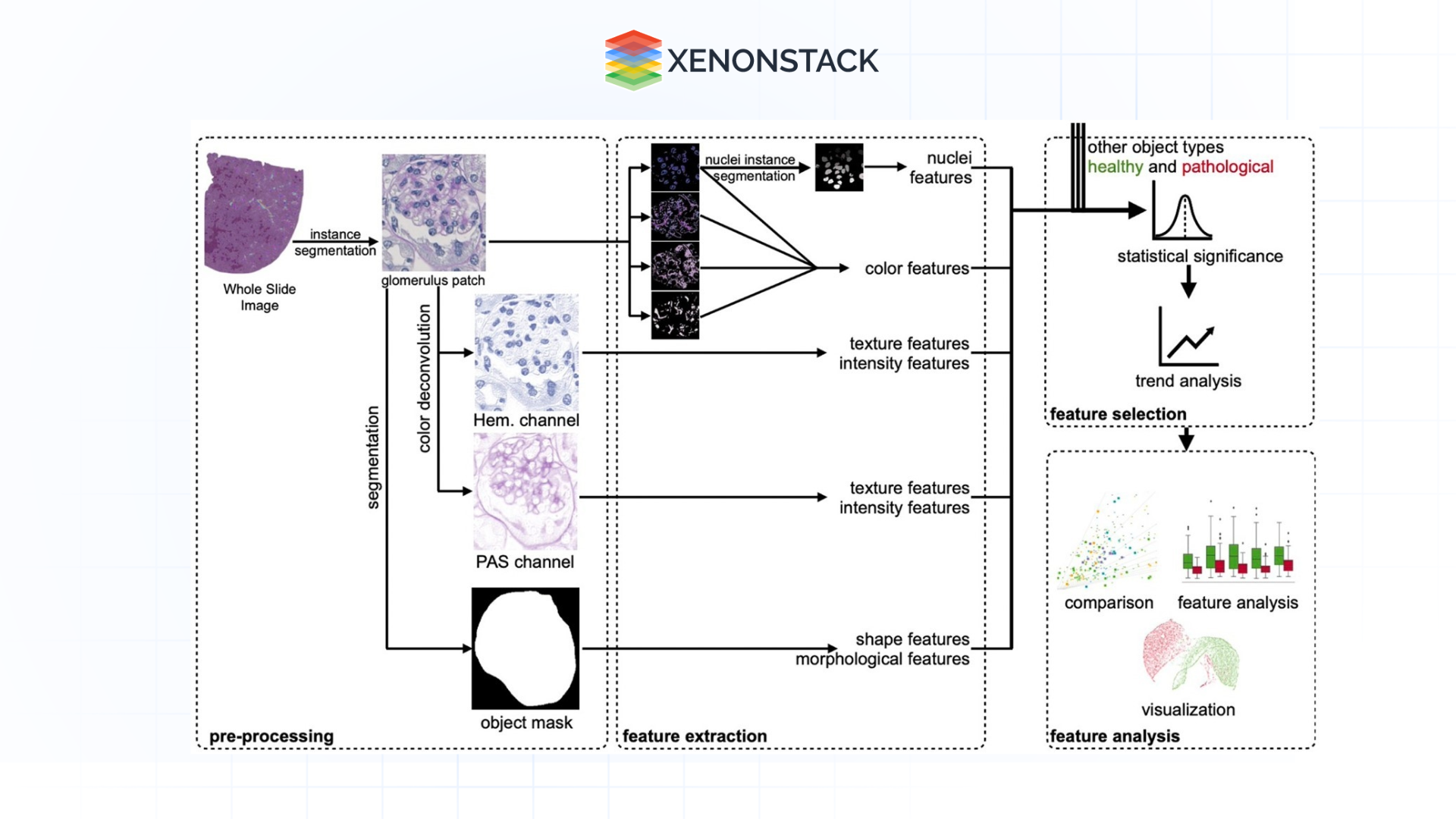 AI-Enhanced Analysis of Microscopic and Cellular Images