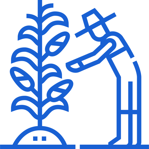 Early Crop Disease Detection with AI: Strategies for Prevention