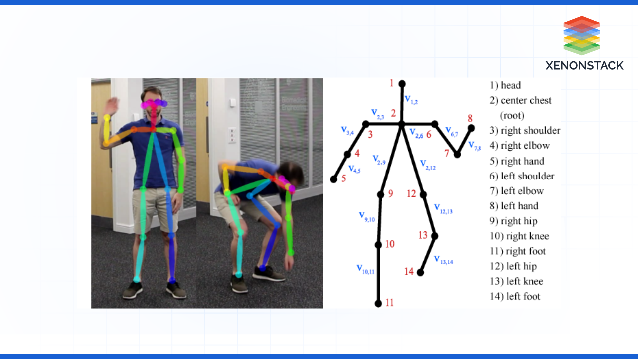 Human Pose Estimation and Action Recognition