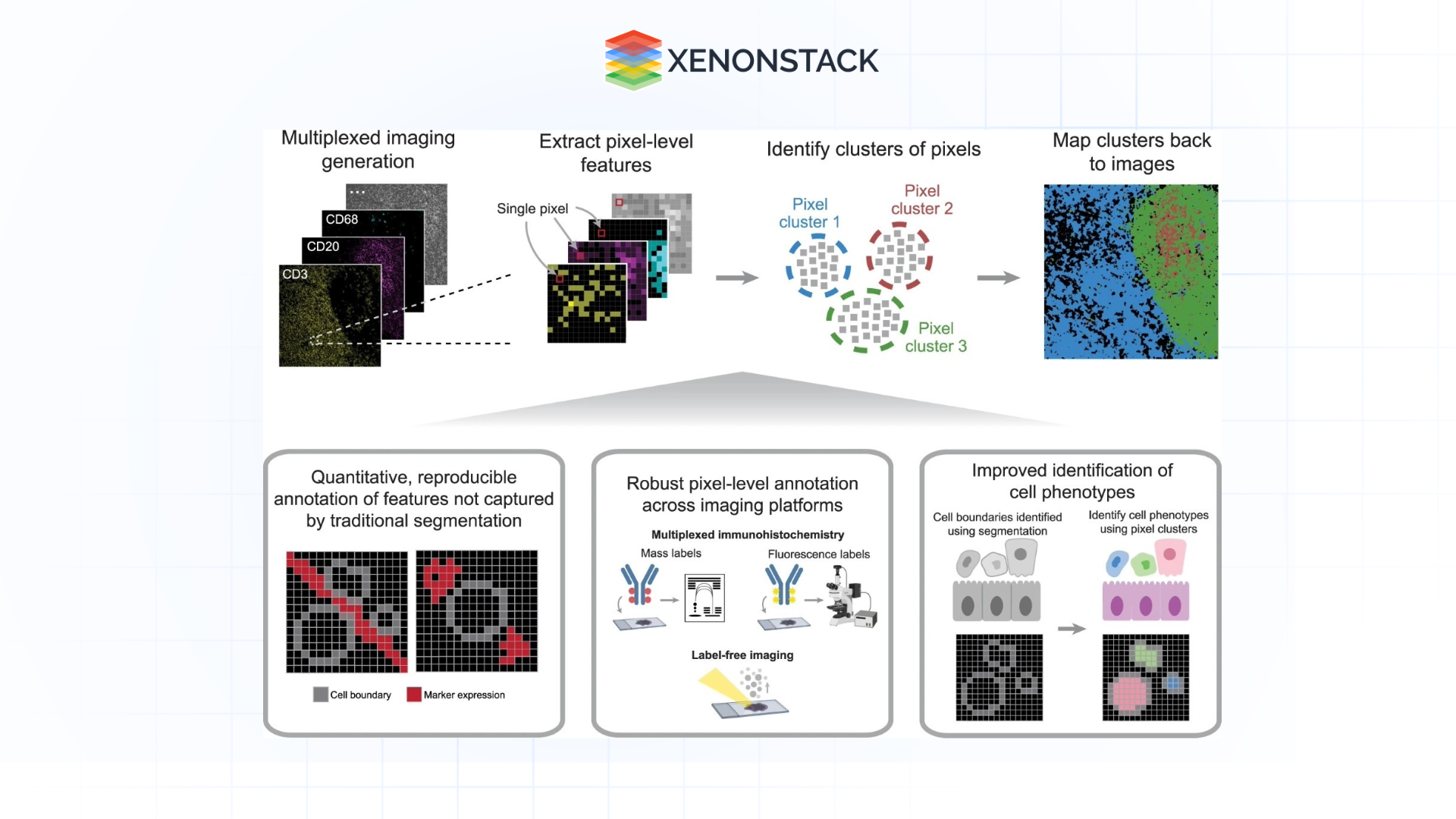 AI-Enhanced Analysis of Microscopic and Cellular Images