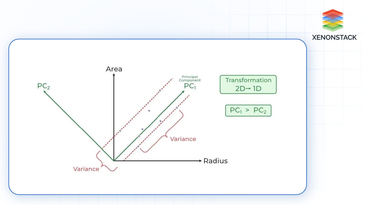 Energy-Efficient Computer Vision Models: A Comprehensive Overview