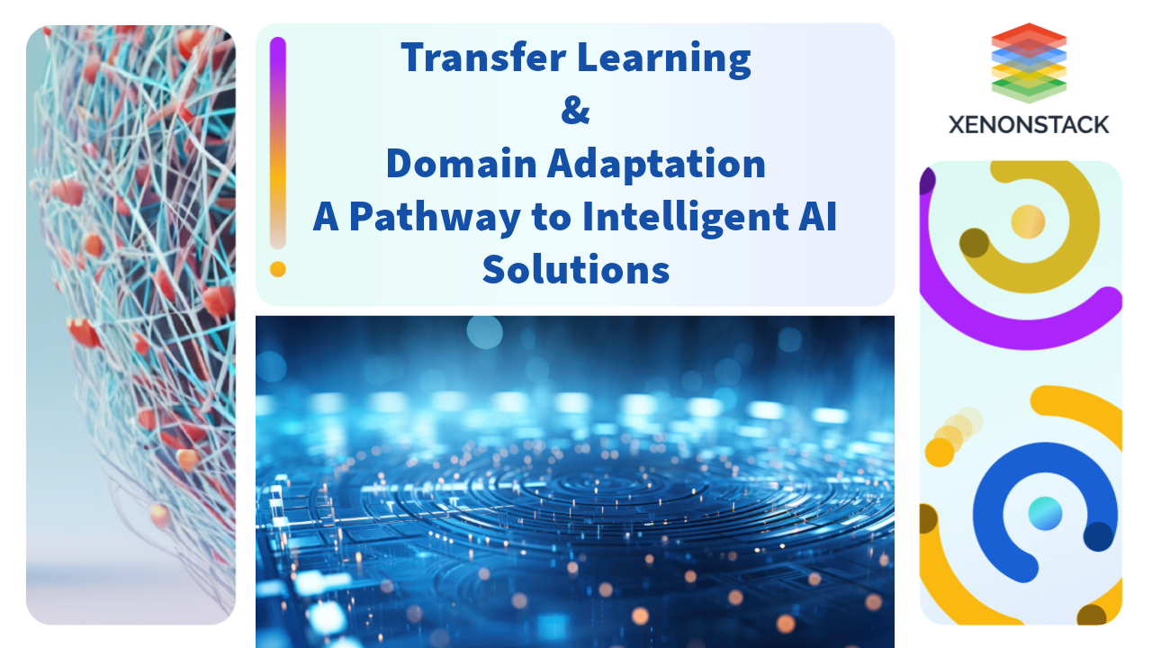 Understanding Transfer Learning and Domain Adaptation