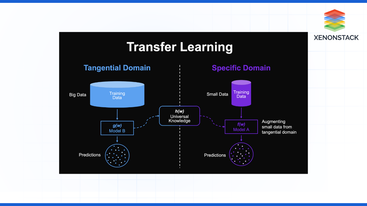 Understanding Transfer Learning and Domain Adaptation