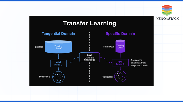 Understanding Transfer Learning and Domain Adaptation