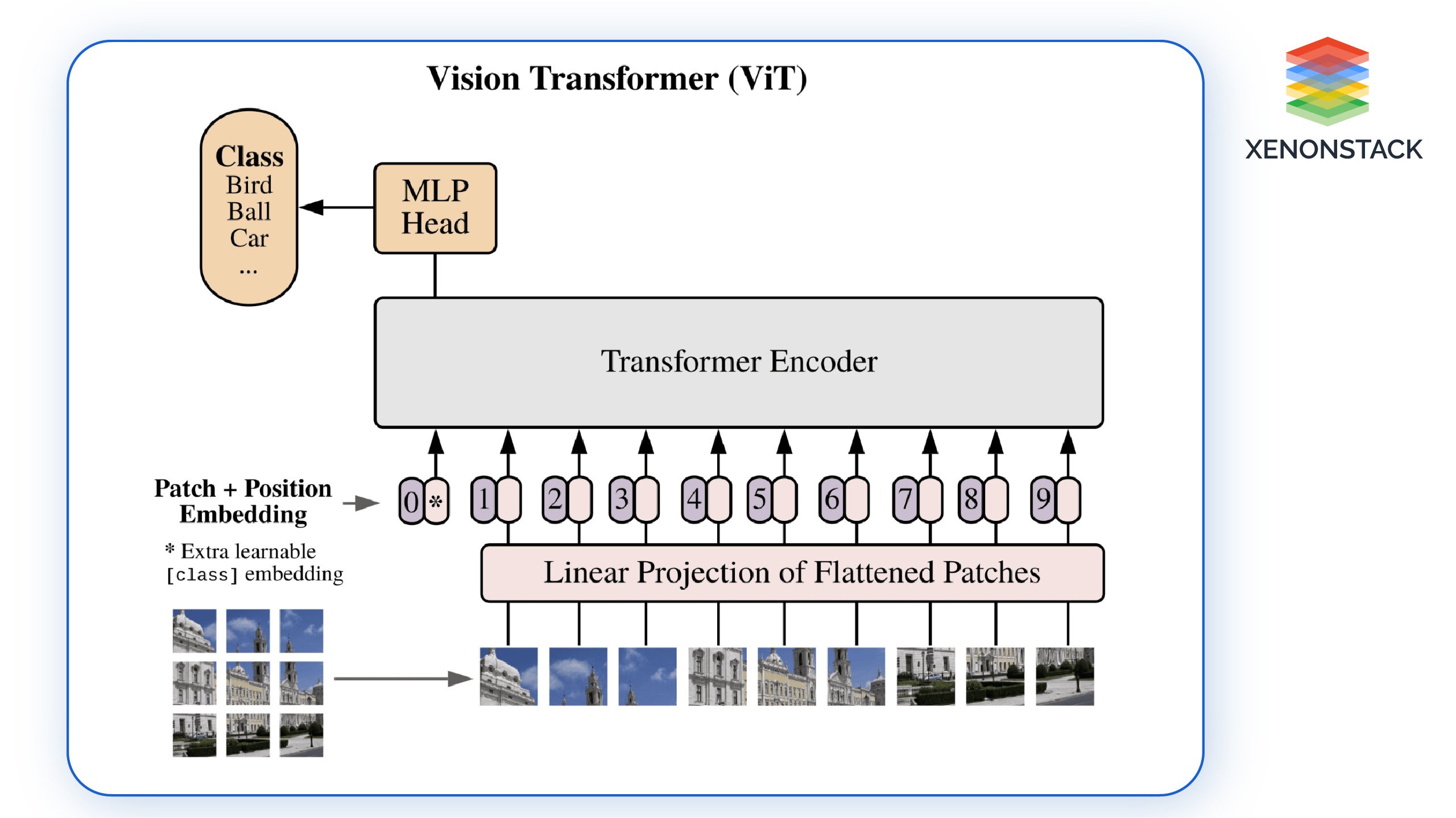 Vision Transformers (ViTs)