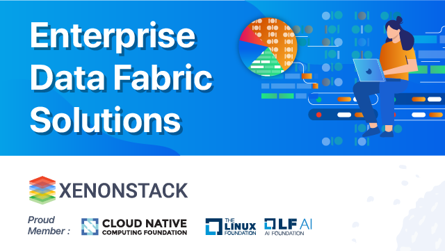 Enterprise Data Fabric Solutions Company