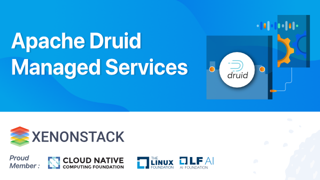 Apache Druid Managed Services and Analytics Solutions - XenonStack