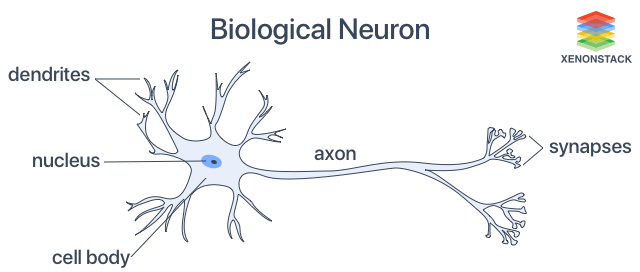 Artificial Neural Networks Applications and Algorithms Artificial Neural Networks Applications and Algorithms